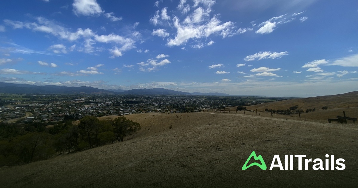 Rotary Lookout - hikes and trails to get you there | AllTrails