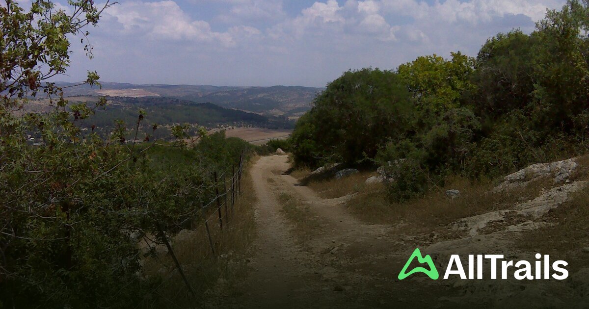 Best trails near Horbat Qanim | AllTrails