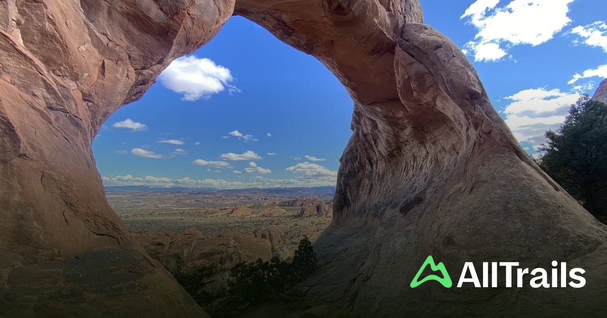 Pine Tree Arch Viewpoint - hikes and trails to get you there | AllTrails