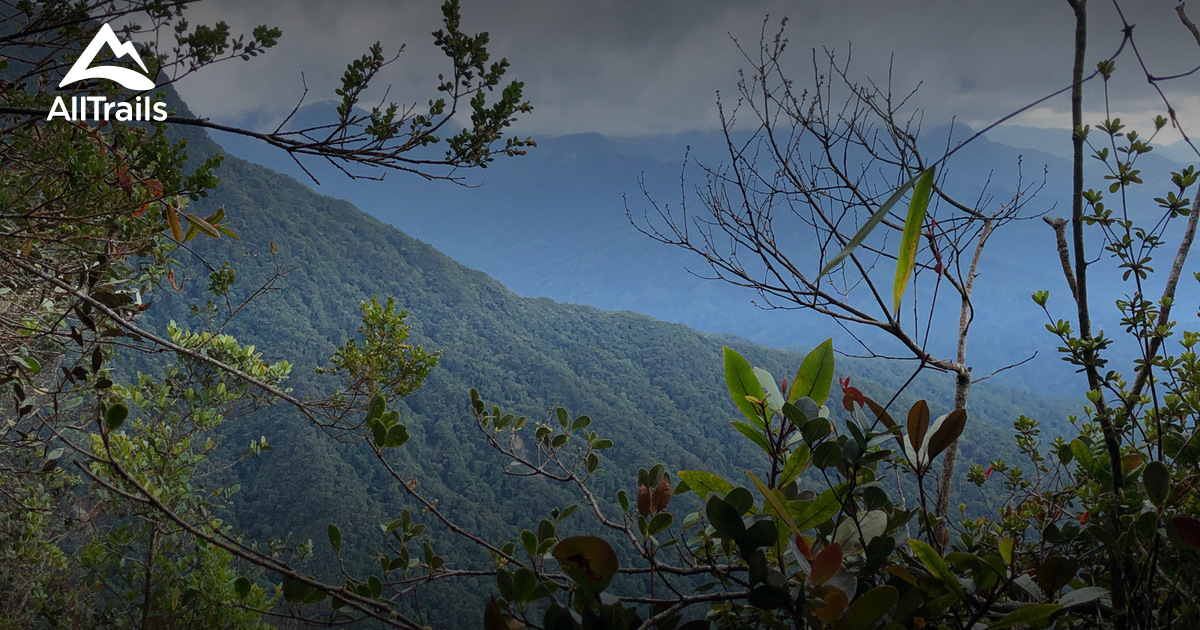Gunung Gayong - hikes and trails to get you there | AllTrails