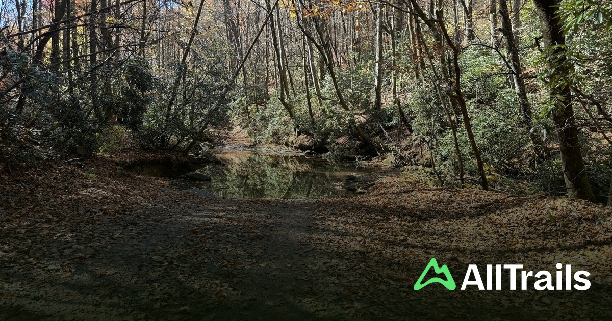 Cashes Valley - hikes and trails to get you there | AllTrails