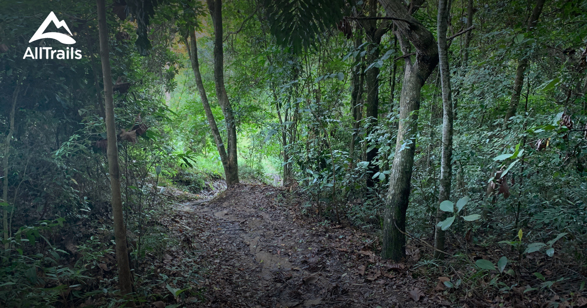 Best trails near UMS Waterfall | AllTrails