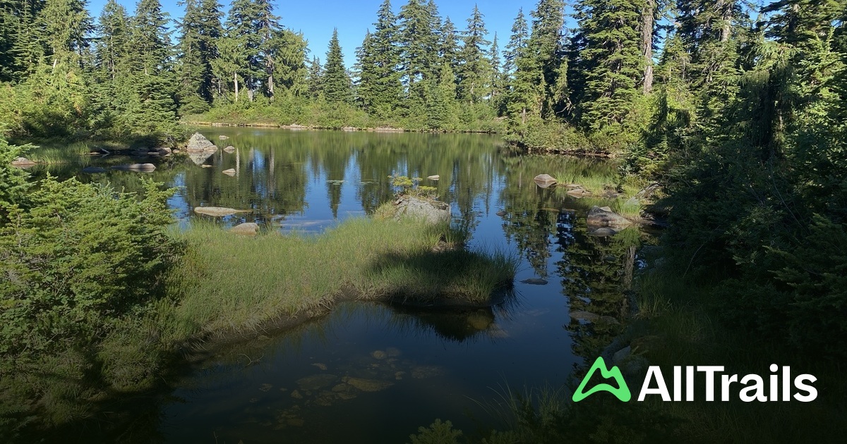 Bedste ruter i nærheden af North Burke Summit's Middle Viewpoint | AllTrails