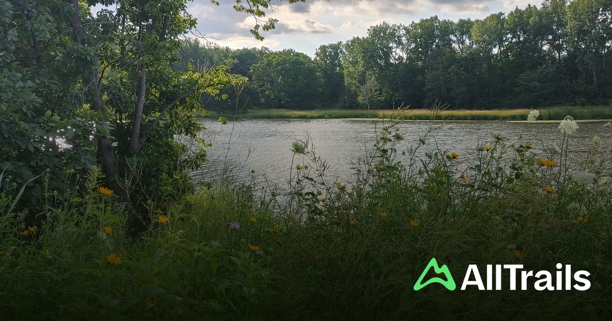 Beste routes in de buurt van Easter Lake | AllTrails