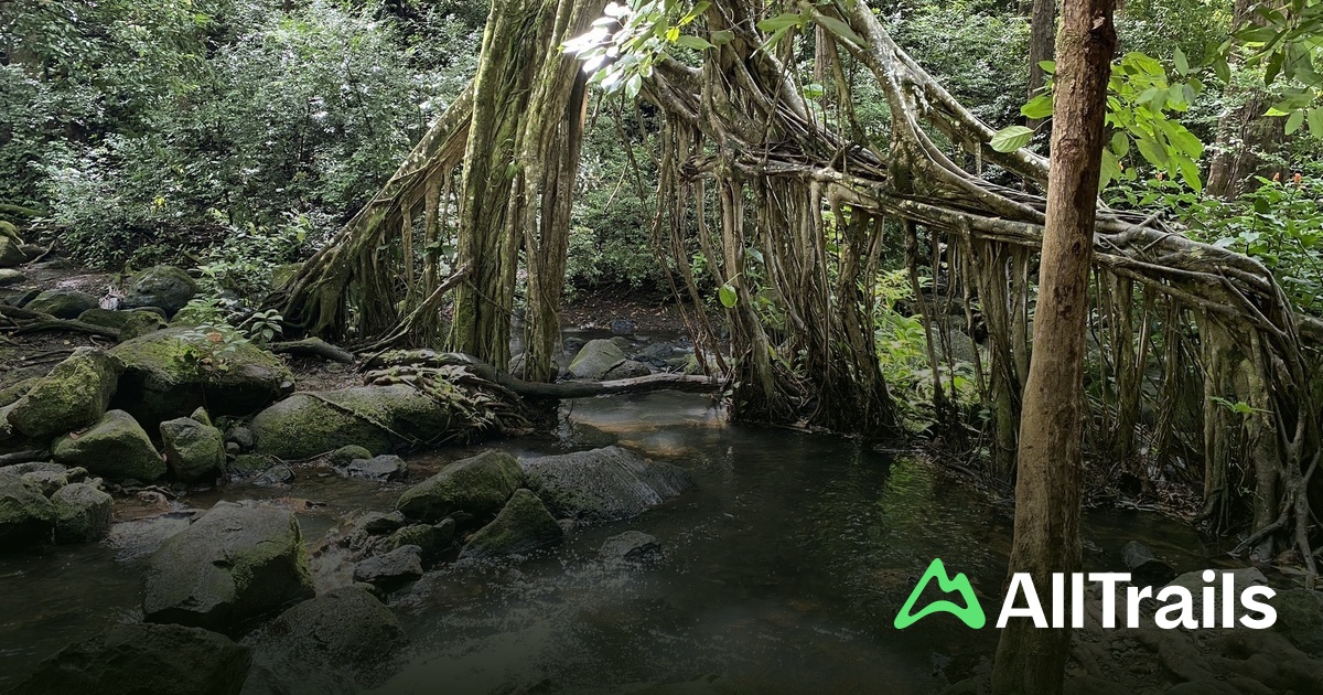 Judd trail - hikes and trails to get you there | AllTrails