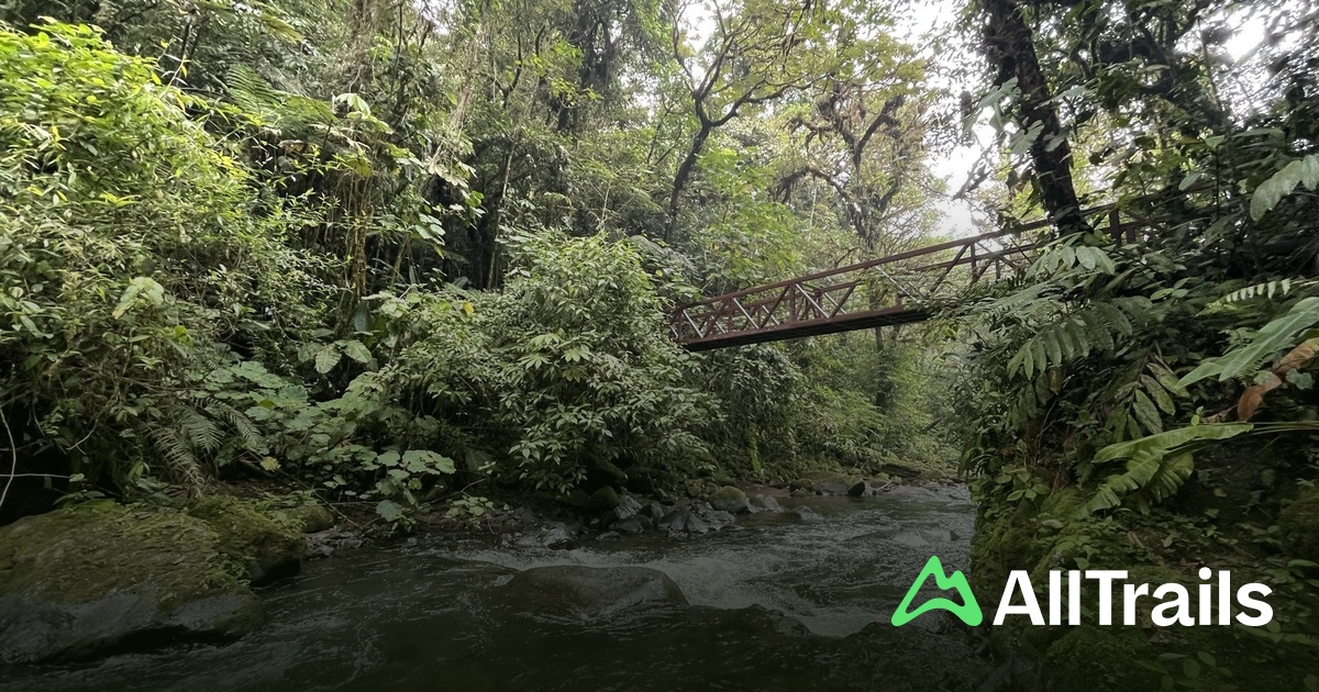 Orchid Garden - hikes and trails to get you there | AllTrails