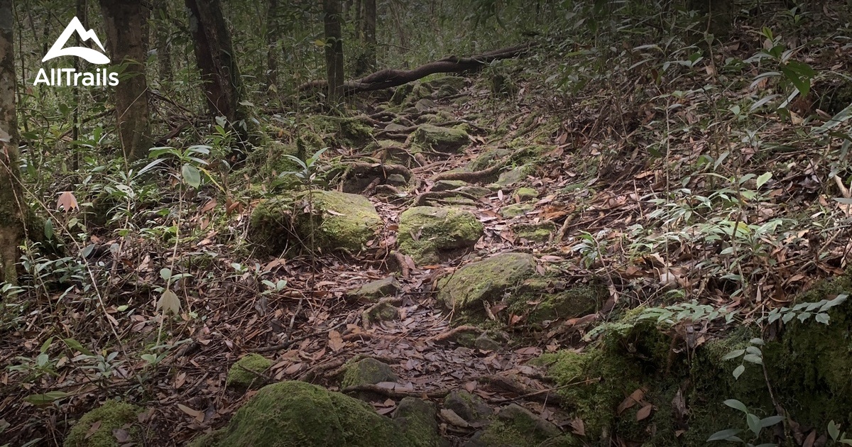 Mount Jerai - hikes and trails to get you there | AllTrails