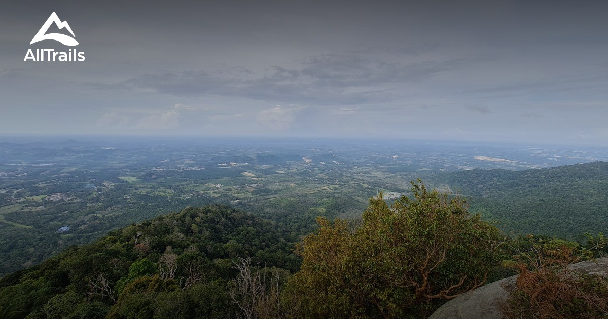 TM Bukit Tampin - hikes and trails to get you there | AllTrails