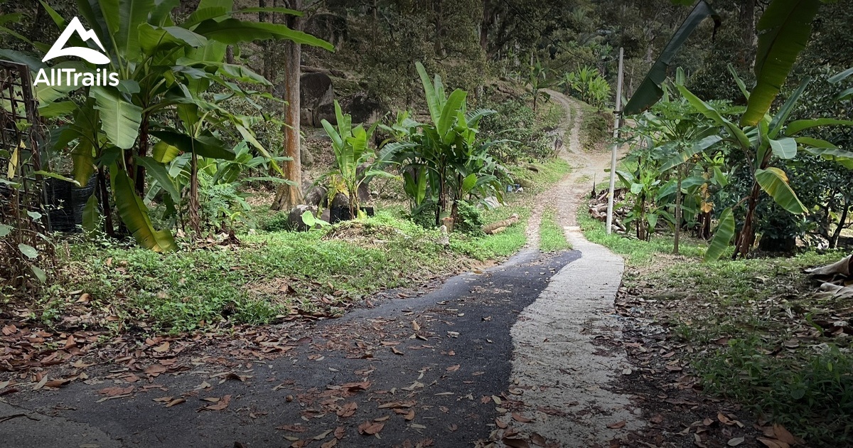 Tang Hang Hill: Die besten Routen in der Umgebung | AllTrails