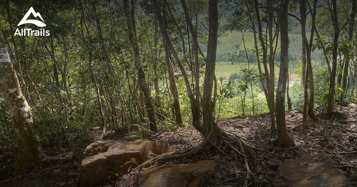 Bukit Panau - hikes and trails to get you there | AllTrails