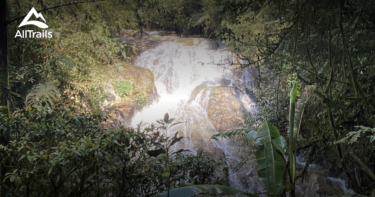 Robinson Falls - hikes and trails to get you there | AllTrails