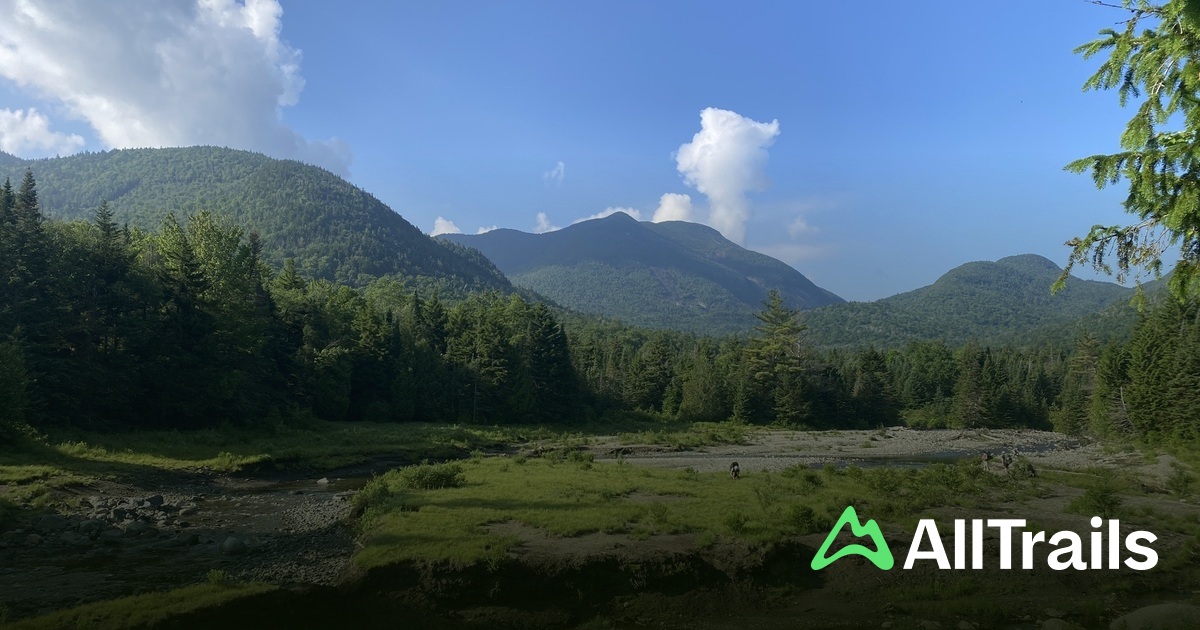 Pelkey Basin – najlepsze szlaki w pobliżu | AllTrails