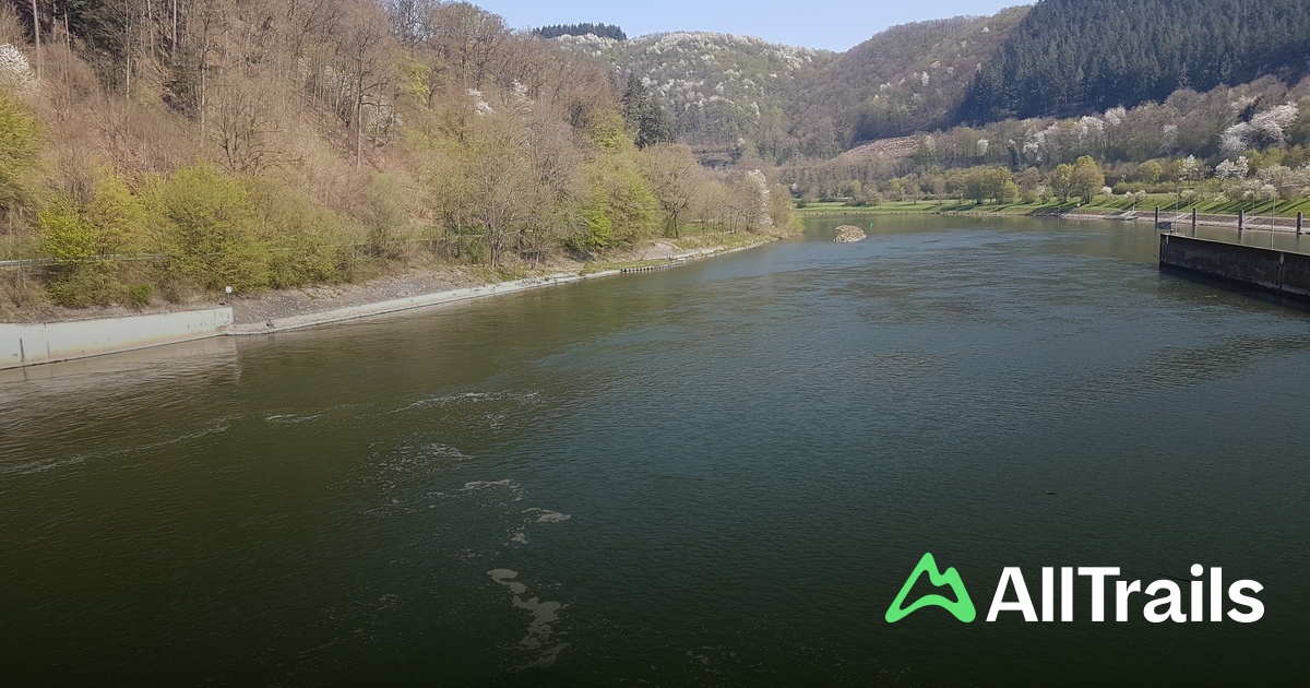 Binauer Höhe: Die besten Routen in der Umgebung | AllTrails