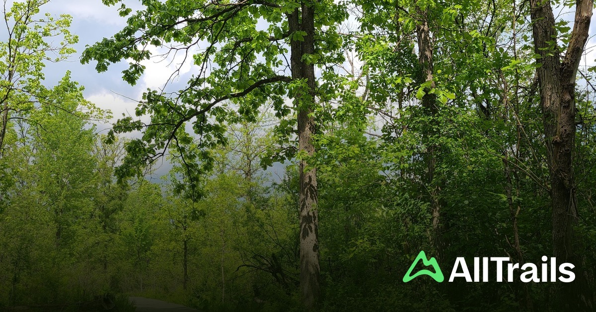 I migliori sentieri vicino a Commons | AllTrails