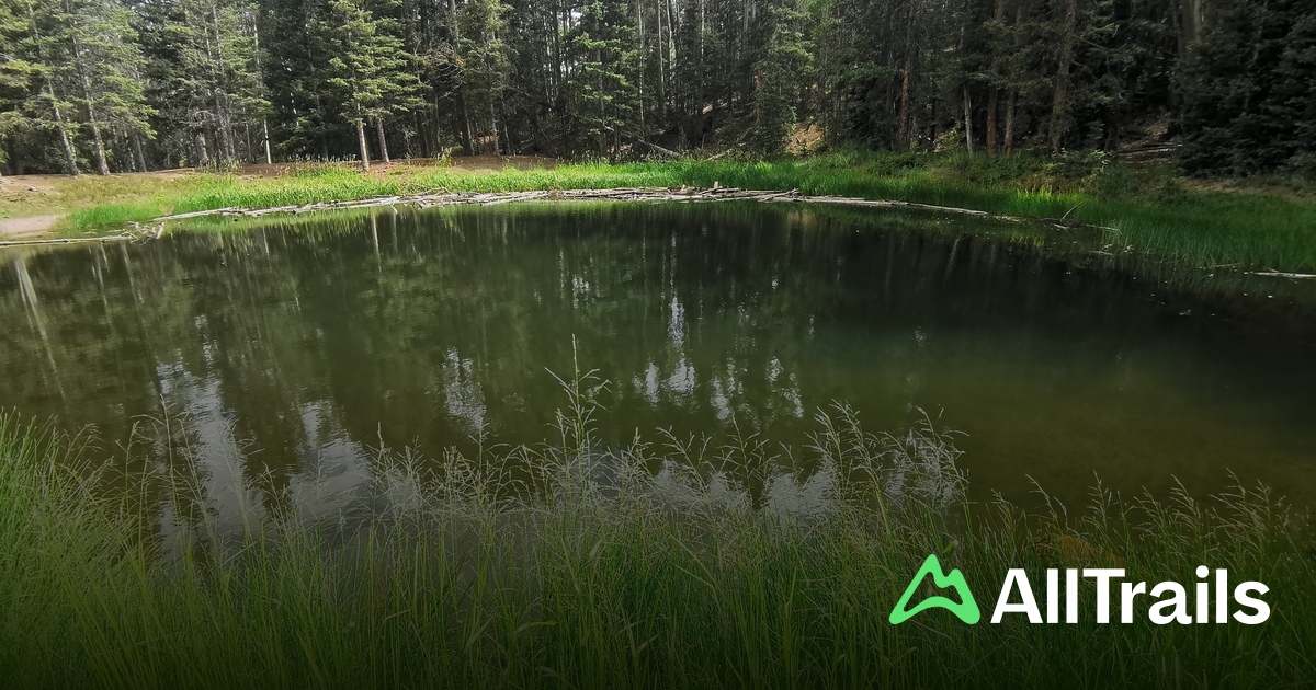 Peak View Campground - hikes and trails to get you there | AllTrails