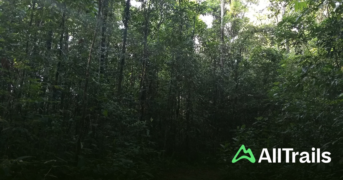Best trails near Bagne des Annamites | AllTrails