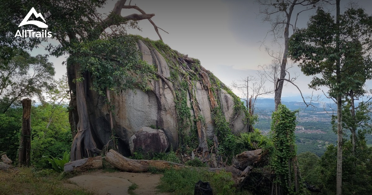 Bukit Tangga Batu - hikes and trails to get you there | AllTrails
