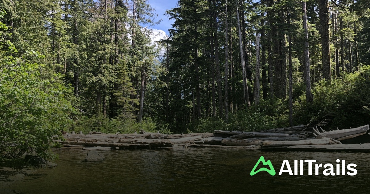 Boardman Lake – najlepsze szlaki w pobliżu | AllTrails