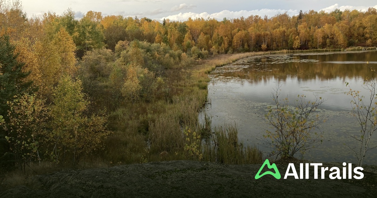 Lac Noranda : les meilleures randonnées | AllTrails