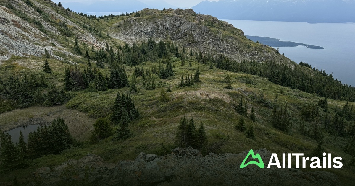 Atlin Lake - hikes and trails to get you there | AllTrails