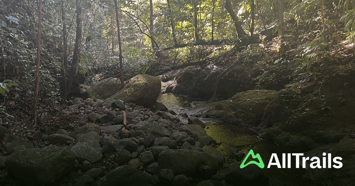 Melhores trilhos perto de Cascade de la Grande Rivière Ferry | AllTrails
