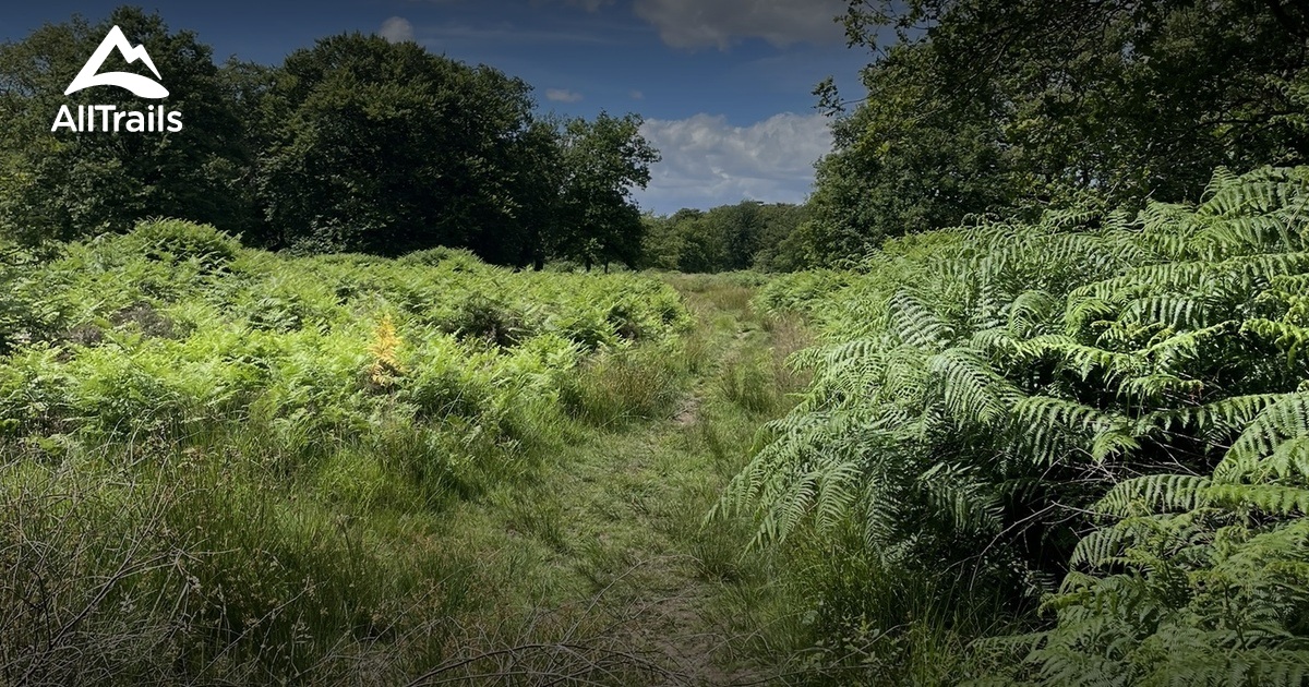 Warren Hill - hikes and trails to get you there | AllTrails