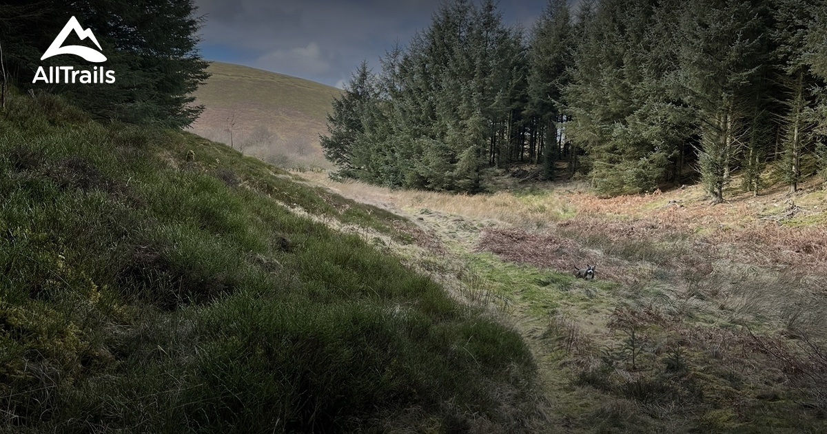 Best trails near Water-Break-Its-Neck | AllTrails