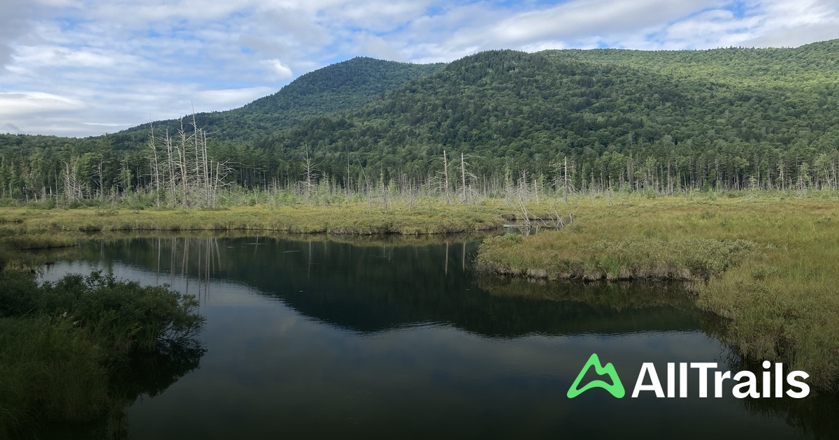 Alice Ledge - hikes and trails to get you there | AllTrails