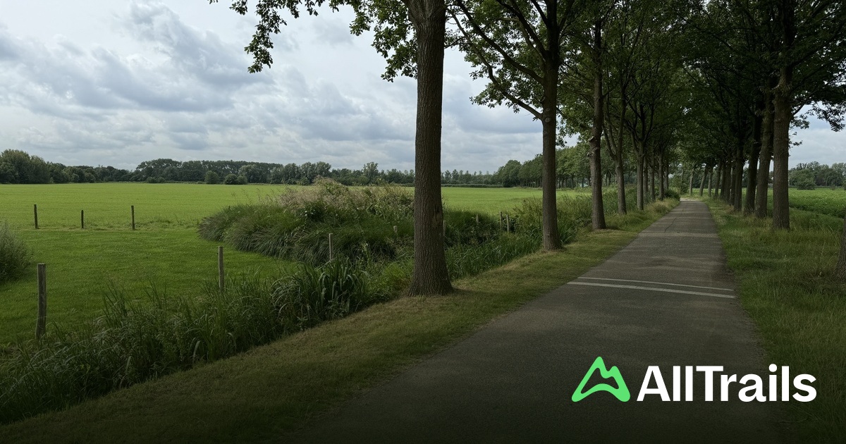 Dorpscamping Gemert - hikes and trails to get you there | AllTrails