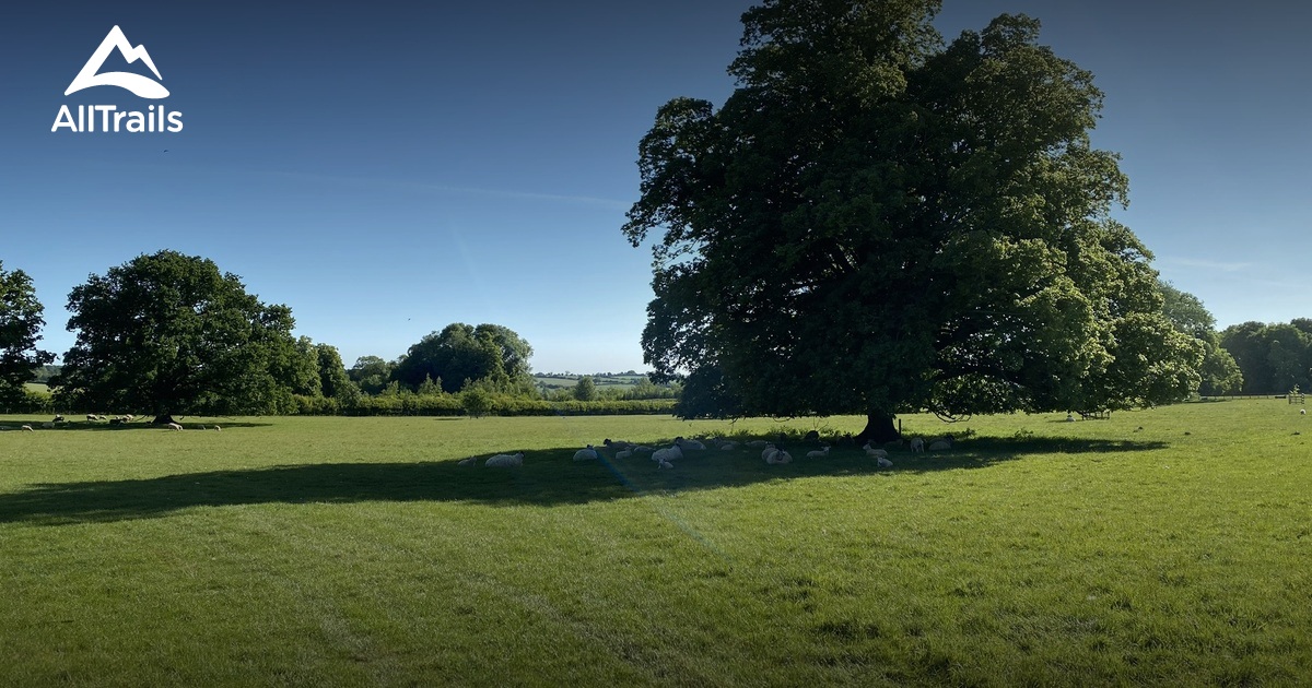 2023 Best Trails near Borough Hill | AllTrails