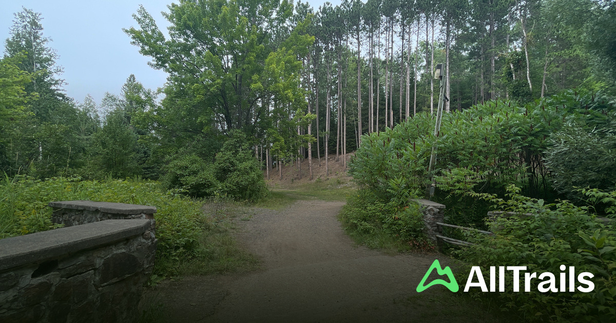 Timber Trails Cabin - hikes and trails to get you there | AllTrails