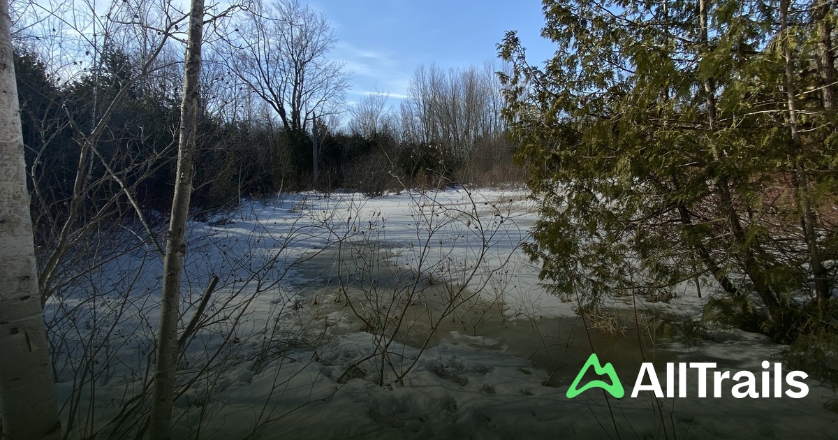 Sibbald Point - Sugarbush Campground - hikes and trails to get you ...