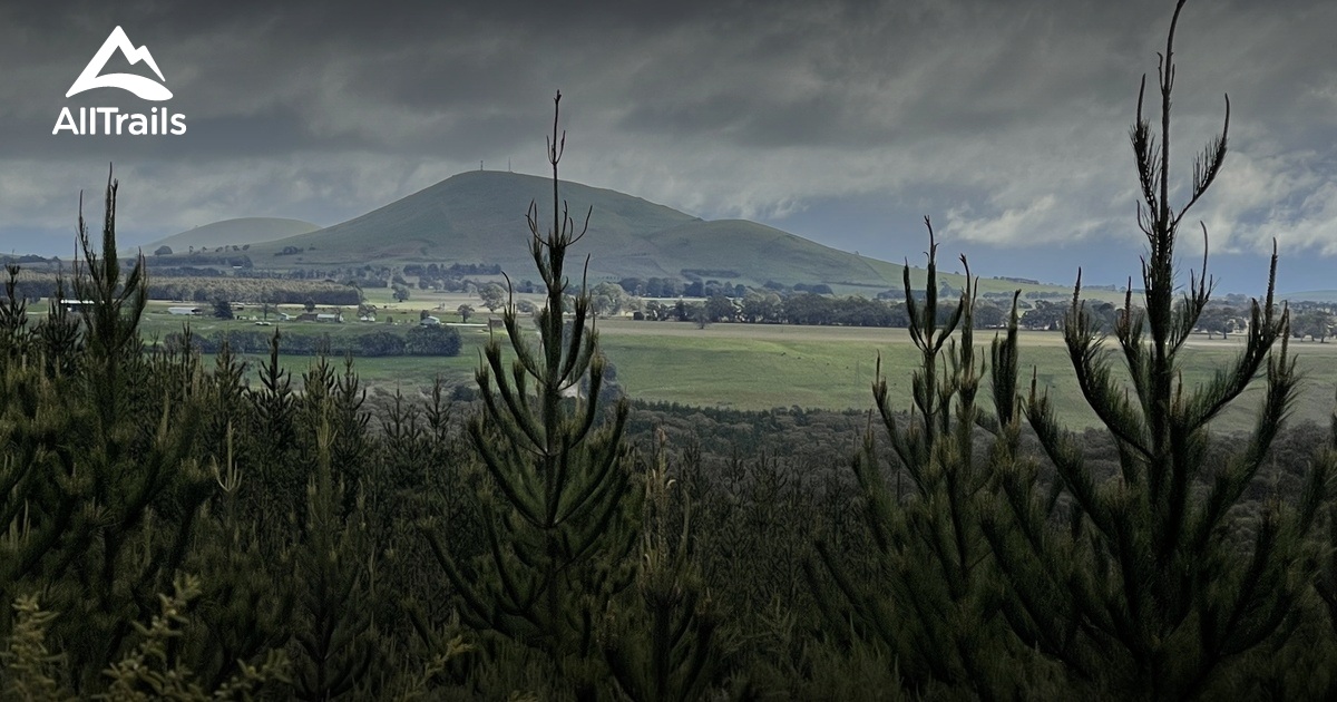 Upper Walkers Gully Falls - hikes and trails to get you there | AllTrails