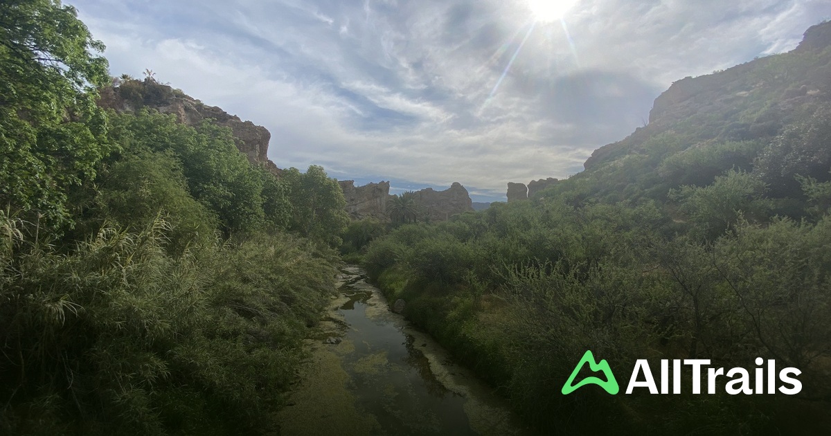 Best trails near Upland Sonoran Desert Natural Area | AllTrails