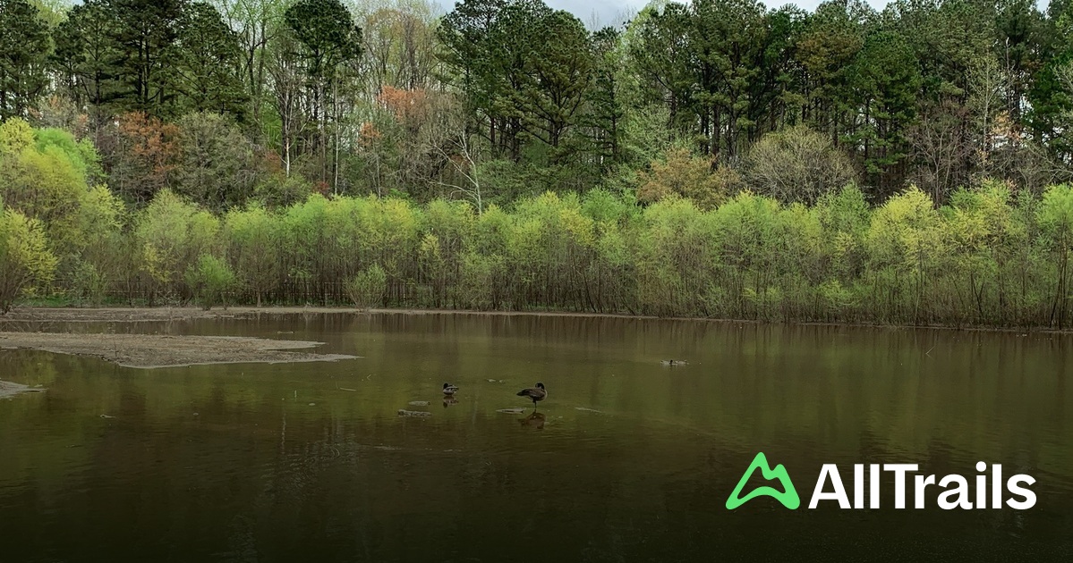 Bästa lederna nära Lake Lynn | AllTrails