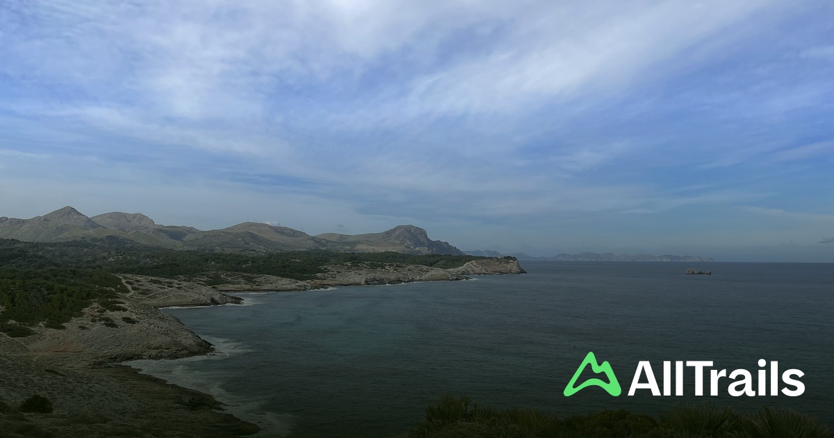 Cala Torta : les meilleures randonnées | AllTrails