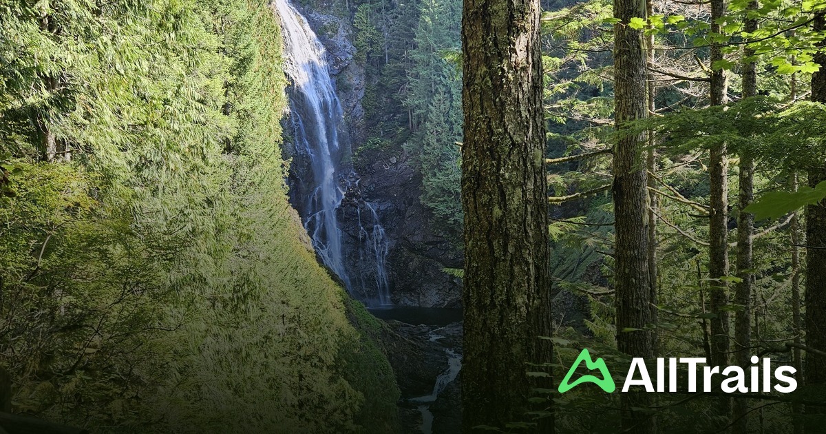 Wallace Lake - hikes and trails to get you there | AllTrails