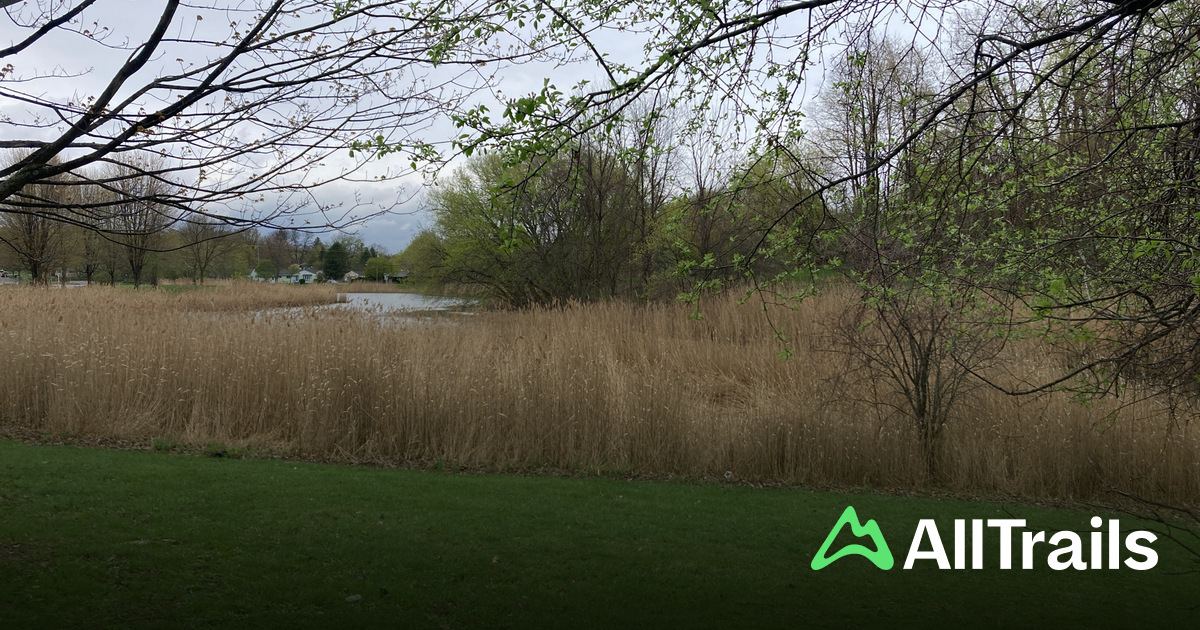 Meadowbrook Detention Basin - hikes and trails to get you there | AllTrails