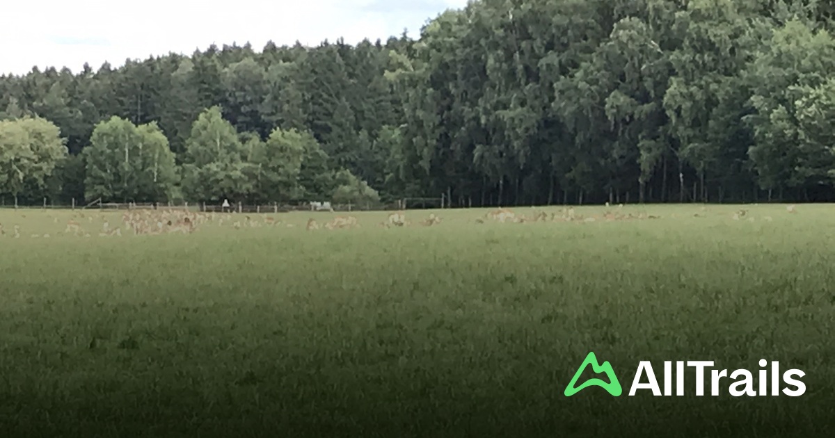 Wildpark Poing See - hikes and trails to get you there | AllTrails