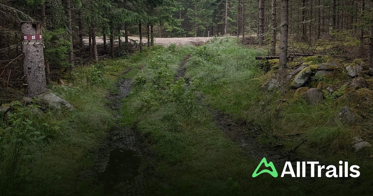 Lilla Edets sluss - hikes and trails to get you there | AllTrails