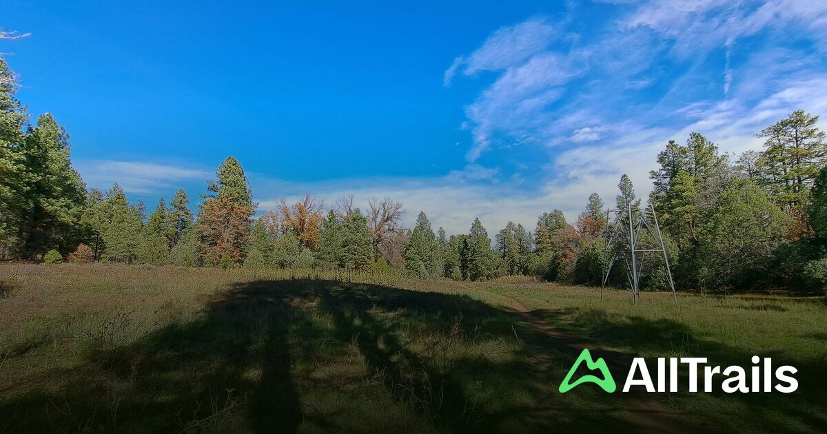 Quaking Aspen Campground - hikes and trails to get you there | AllTrails