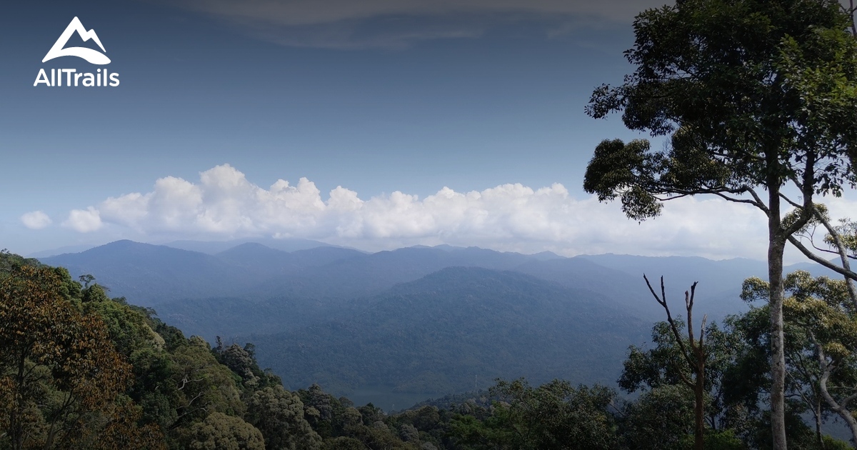 Kutu Hill - hikes and trails to get you there | AllTrails