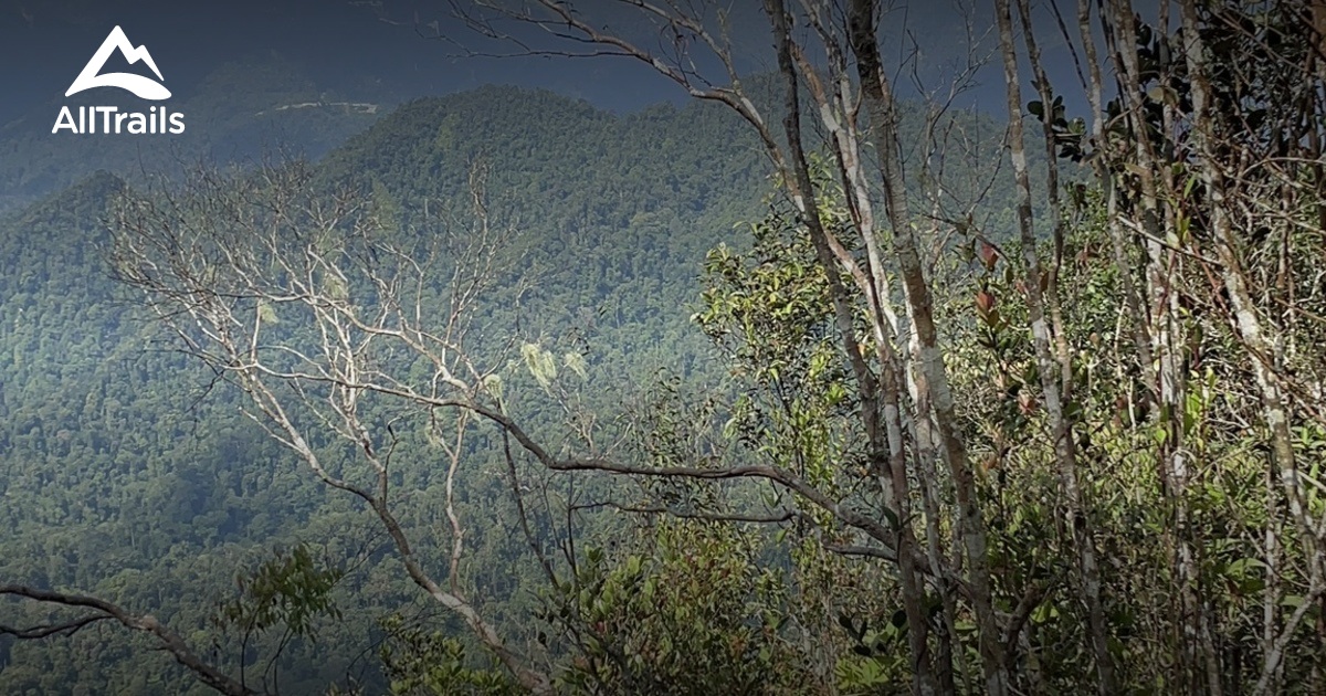 Mount Bunga Buah - hikes and trails to get you there | AllTrails