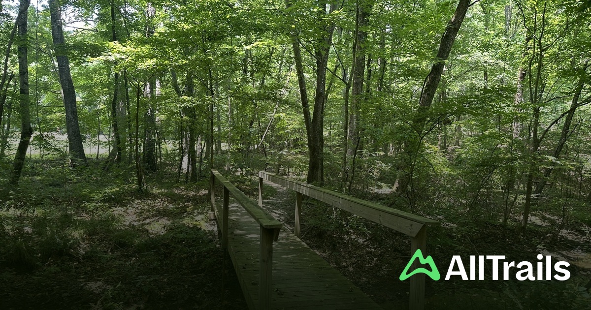 Hot Springs Dam Number One - hikes and trails to get you there | AllTrails
