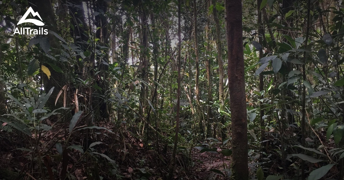 Liang West Mountain - hikes and trails to get you there | AllTrails