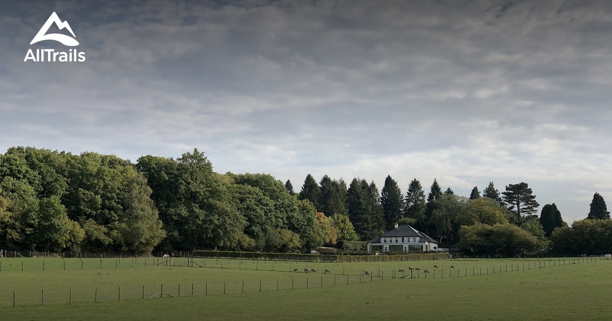 Wormley Hill - hikes and trails to get you there | AllTrails