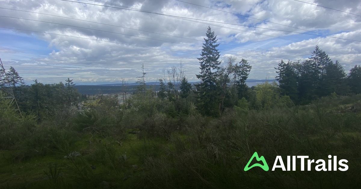 Rotary Lookout - hikes and trails to get you there | AllTrails