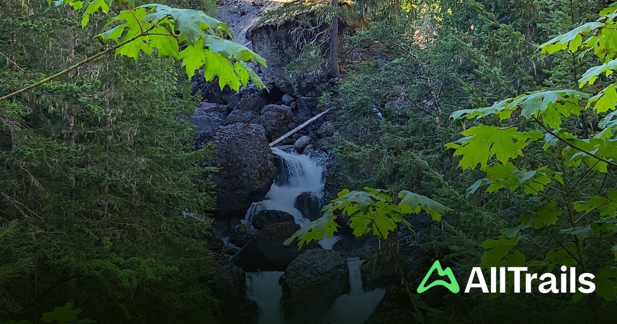 Dosewallips Campground - hikes and trails to get you there | AllTrails