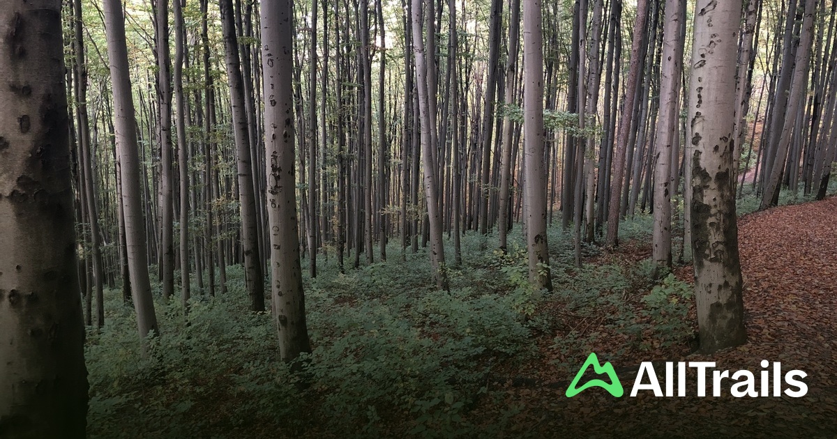 Nagy Mara - hikes and trails to get you there | AllTrails