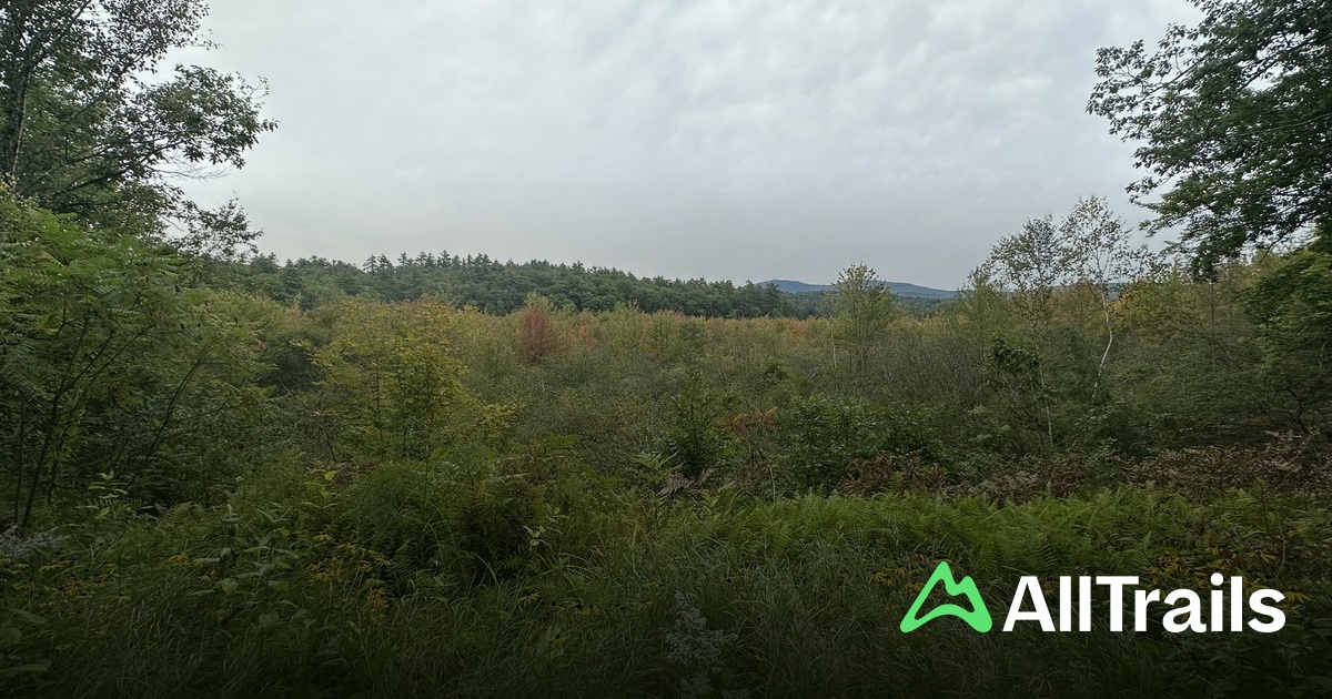 Lane River - hikes and trails to get you there | AllTrails